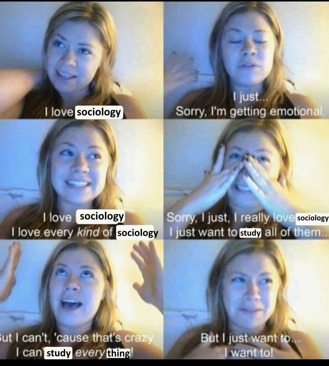 Sociologists Memes 56 Best Functionalism, Structural Functionalism