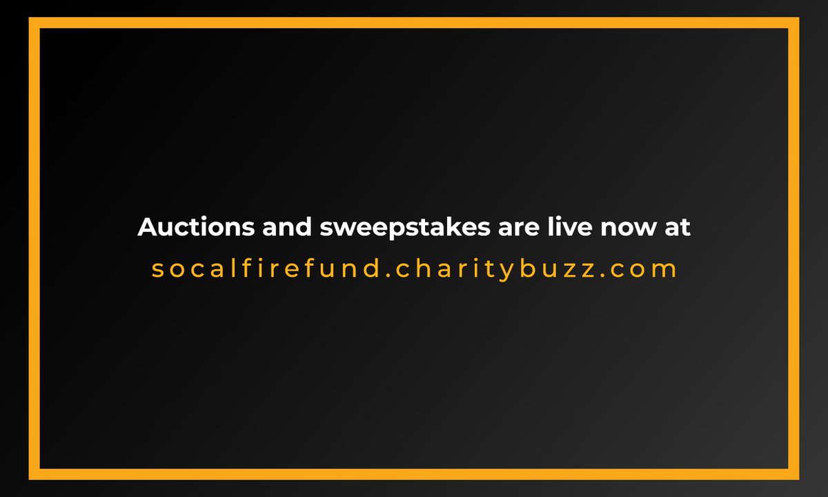 Charitybuzz Auction Charitybuzz And Tribeca Film Institute Auction