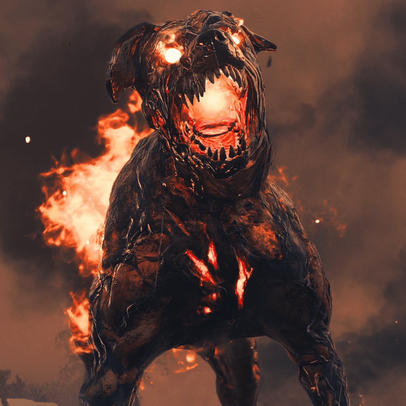 Hellhounds Black Ops Zombier Hellhound | Call Of Duty Wiki | Fandom