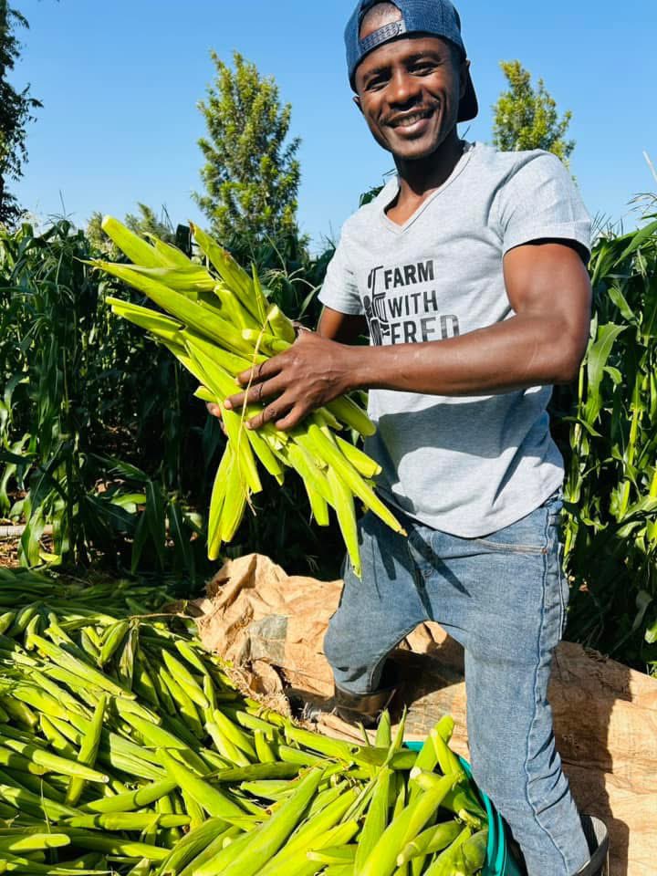 2025 PROFITABLE CROP FARMING PLAN. Follow the crop plan with ...