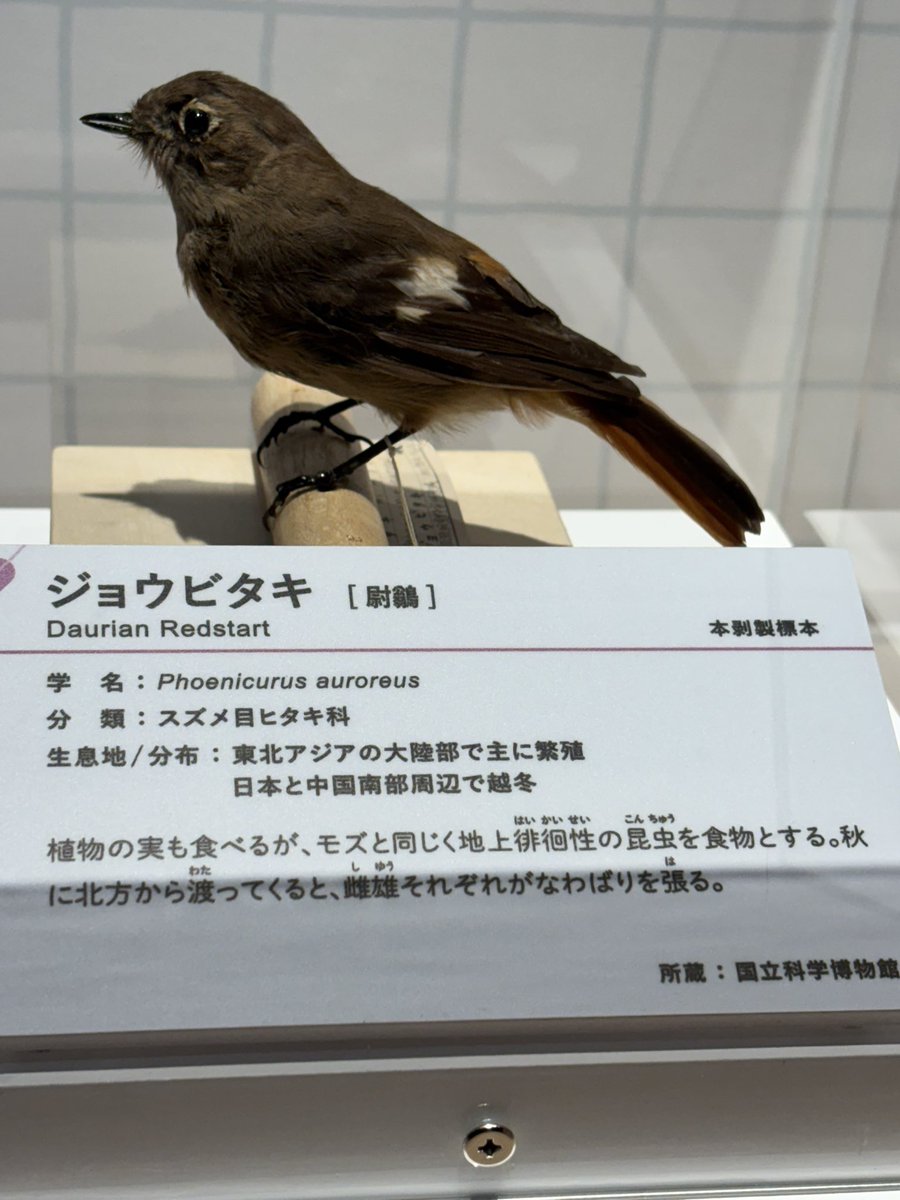 とり(@moonbeast_tori) - Twilog (ツイログ)