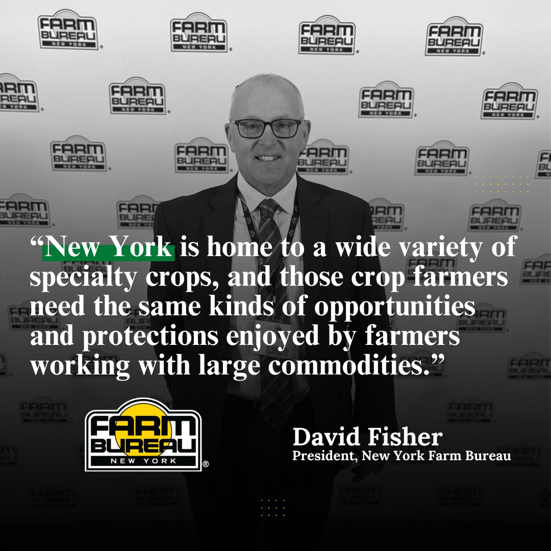 David Fisher Quotes