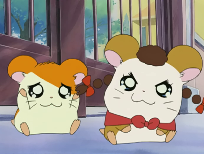 Hamtaro Maxwell And Sandy NOVEMBER 5TH, HAPPY BIRTHDAY MAXWELL!