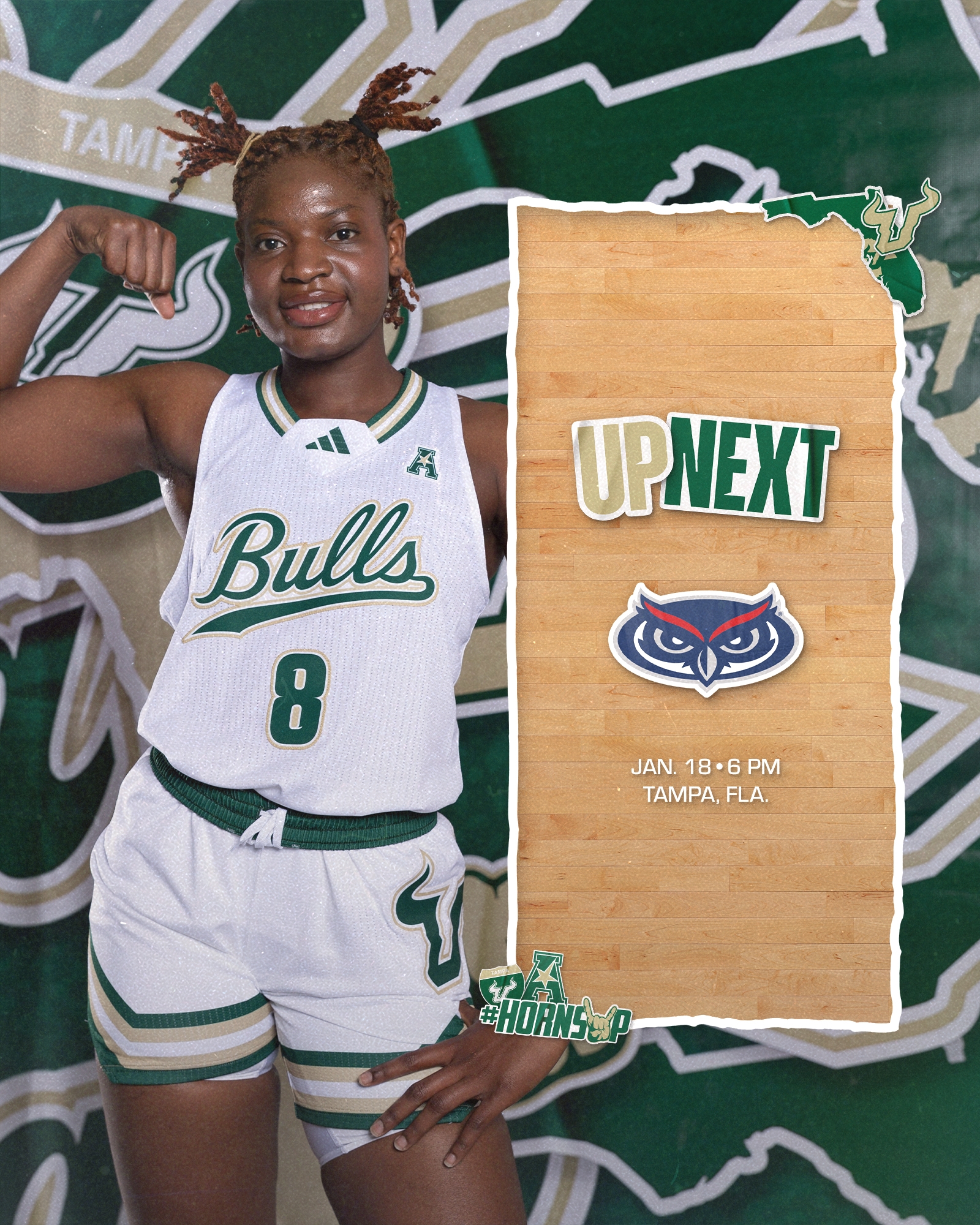 USF Women s Basketball USFWBB X