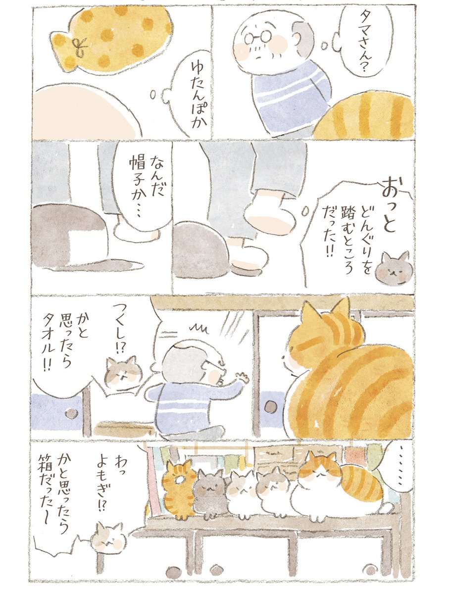 目の端に入ったものが猫に見えてハッとします #ねことじいちゃん https://t.co/fk2bhEmwQC