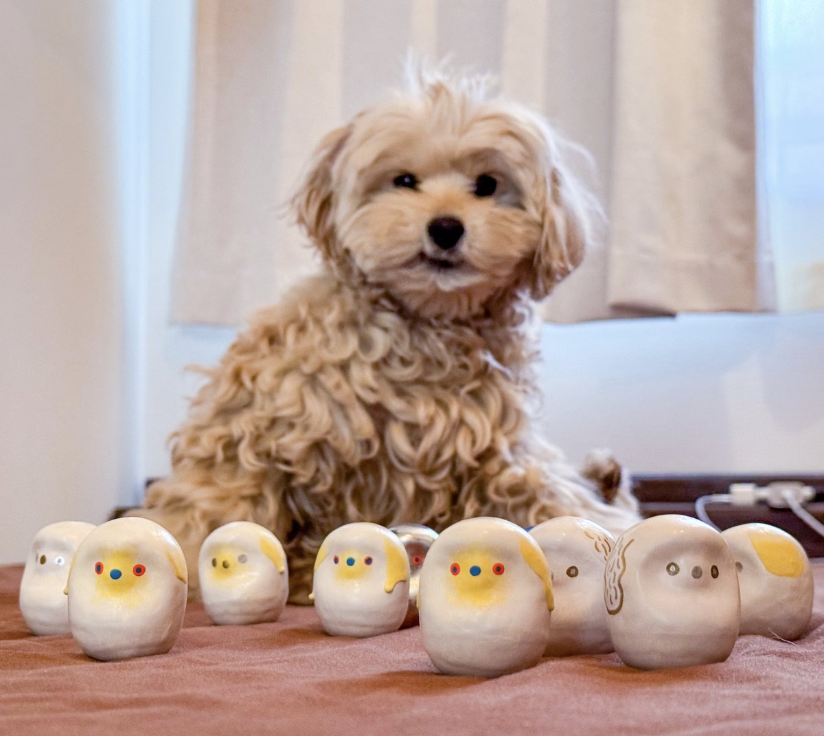 愚鈍(@po_iz) - Twilog (ツイログ)