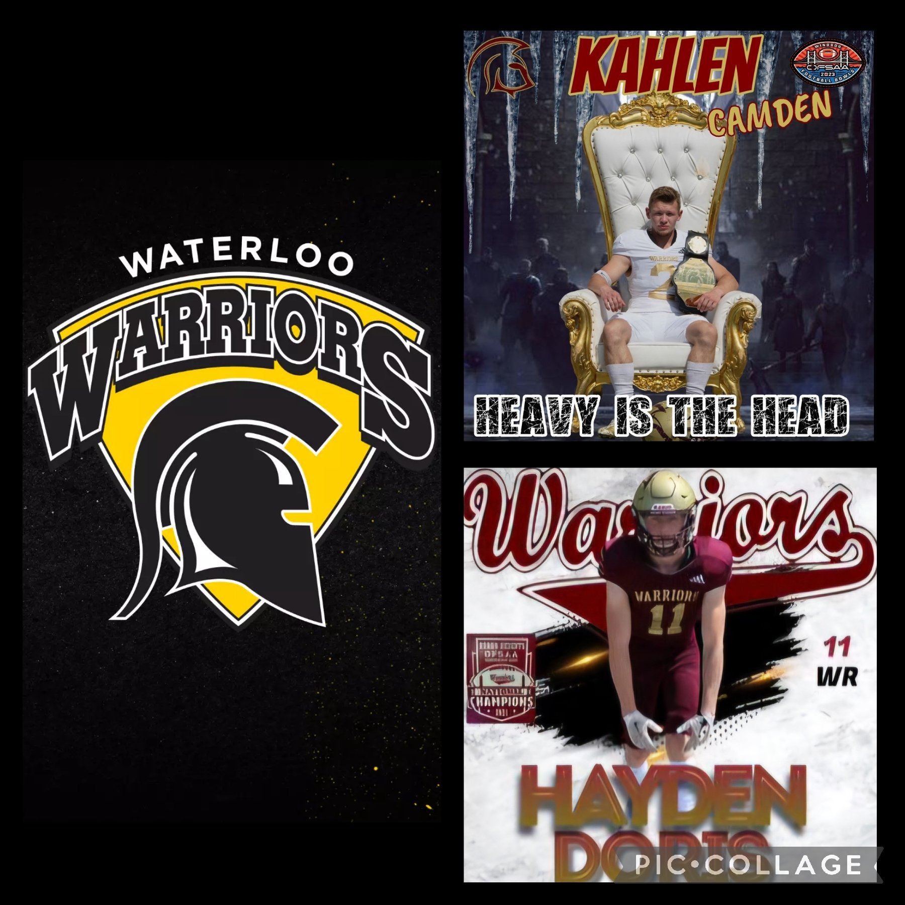 Waterloo Warriors Logo Waterloo Warriors Stickers For Sale | Redbubble