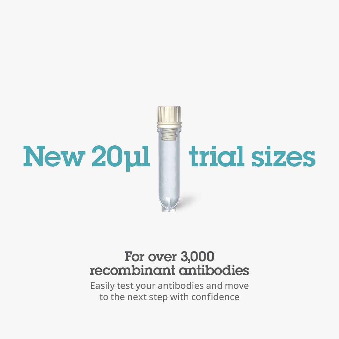 Abcam Antibodies Cancer Research Antibodies And ELISA Kits: Leading