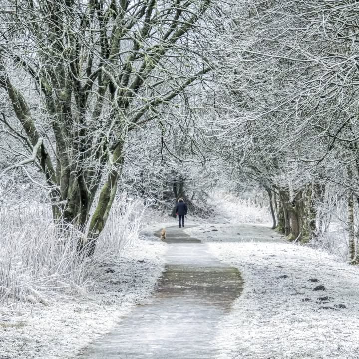 Scot Pourri | The Scottish Banner