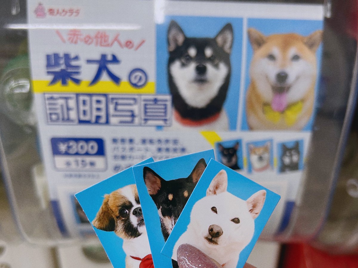 愚鈍(@po_iz) - Twilog (ツイログ)