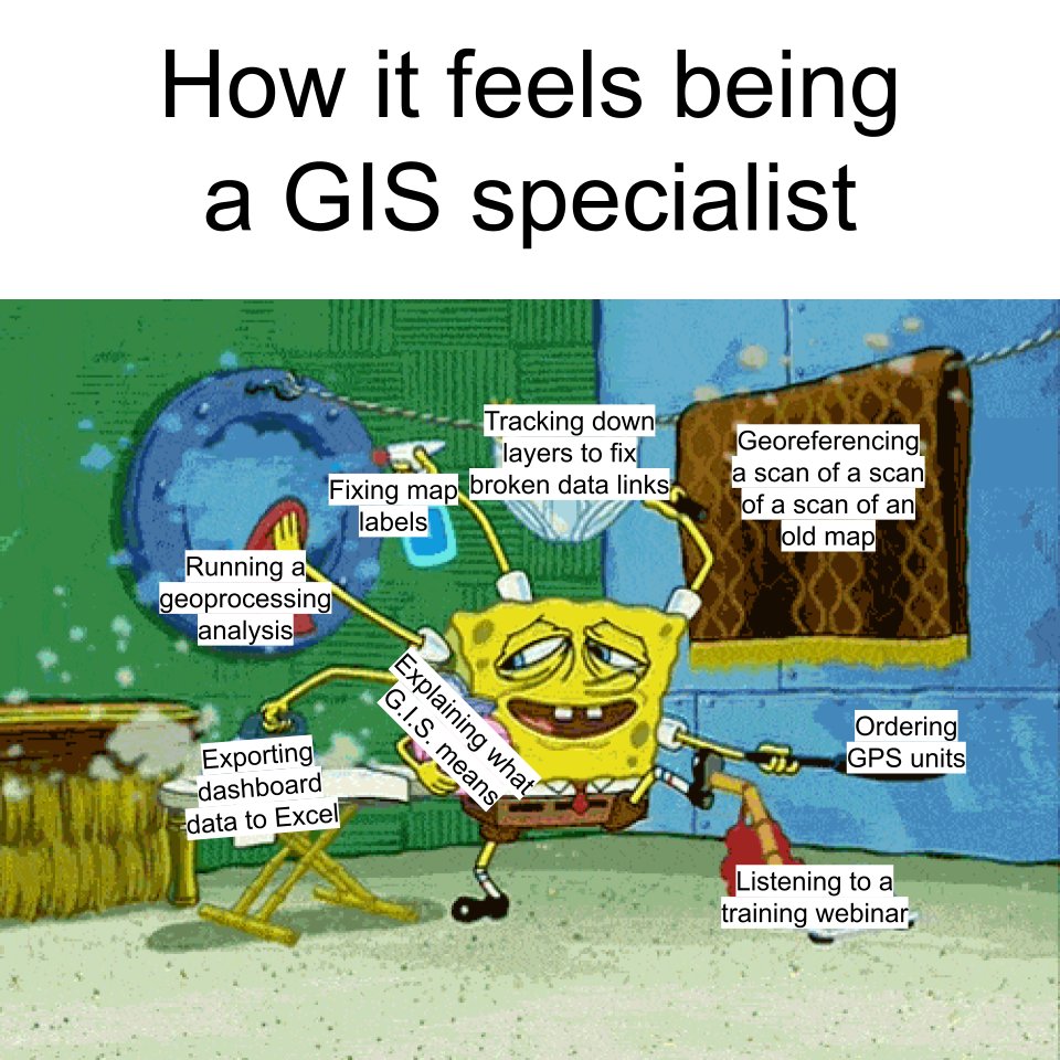 Gis Analyst Memes