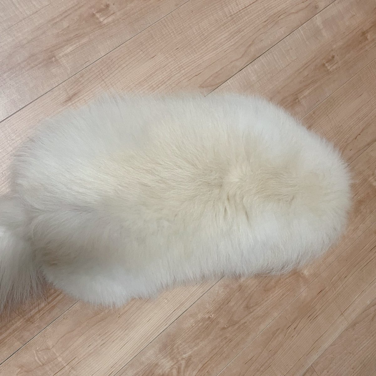 愚鈍(@po_iz) - Twilog (ツイログ)