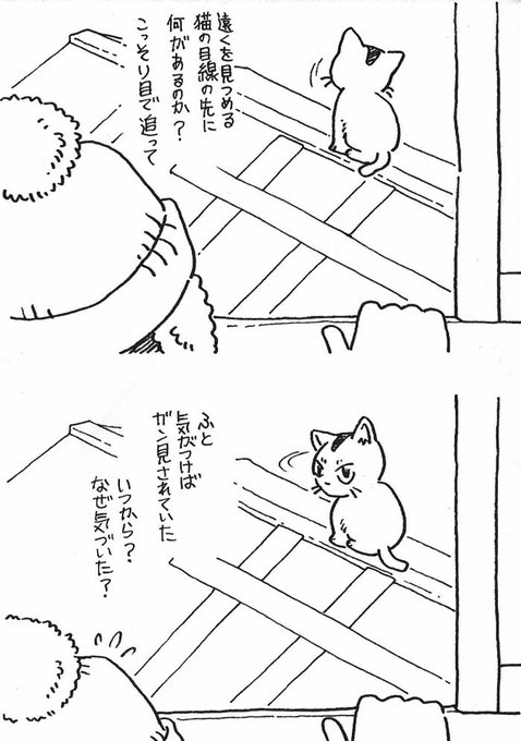 『のらねことの距離感がわからない』 絵日記 3/7 三日目 | ごん屋 さんのマンガ | ツイコミ(仮)