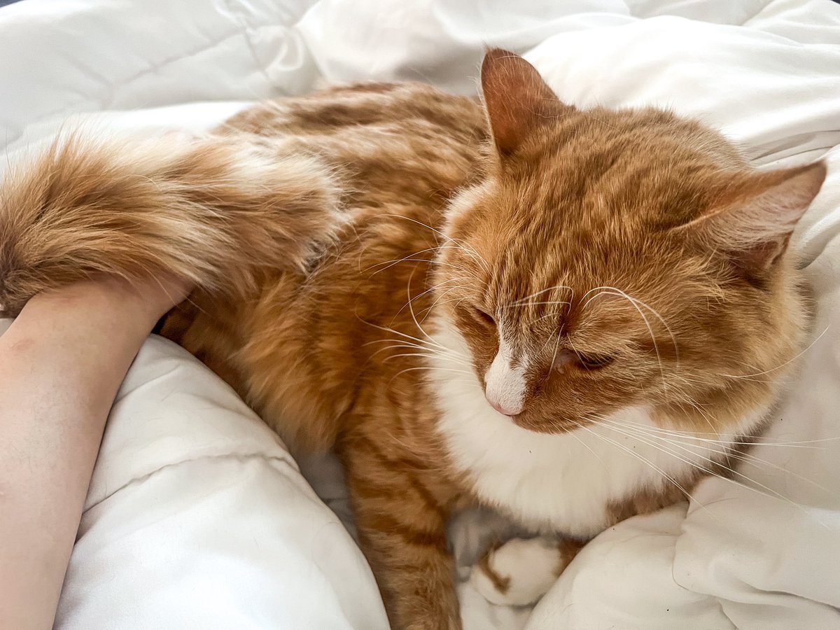 はとね(@hatone) - Twilog (ツイログ)