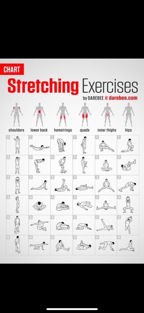Flexibility Exercises Chart