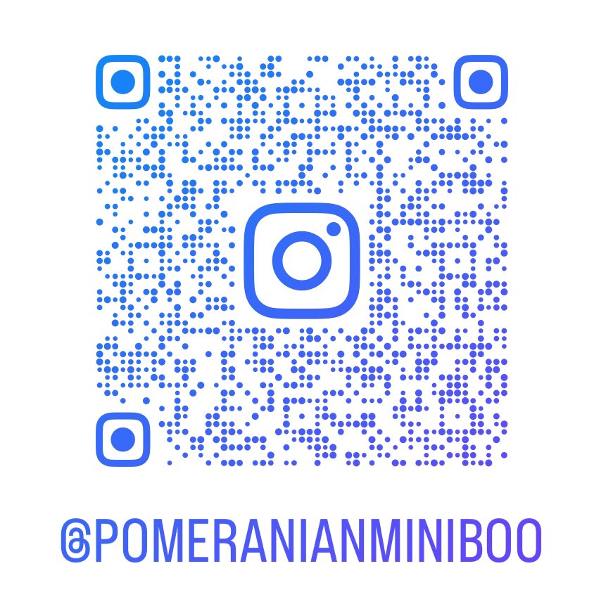 愚鈍(@po_iz) - Twilog (ツイログ)