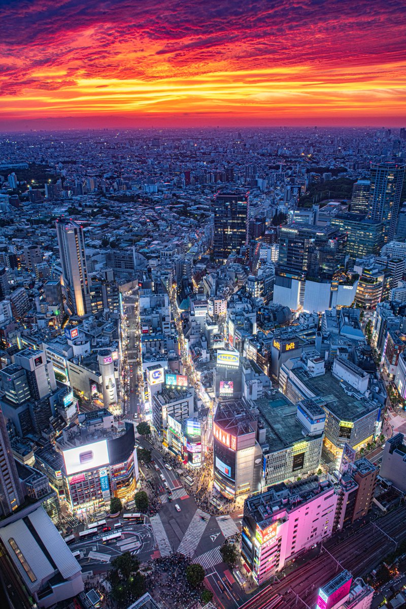 Yasu(@inoue_yasu) - Twilog (ツイログ)