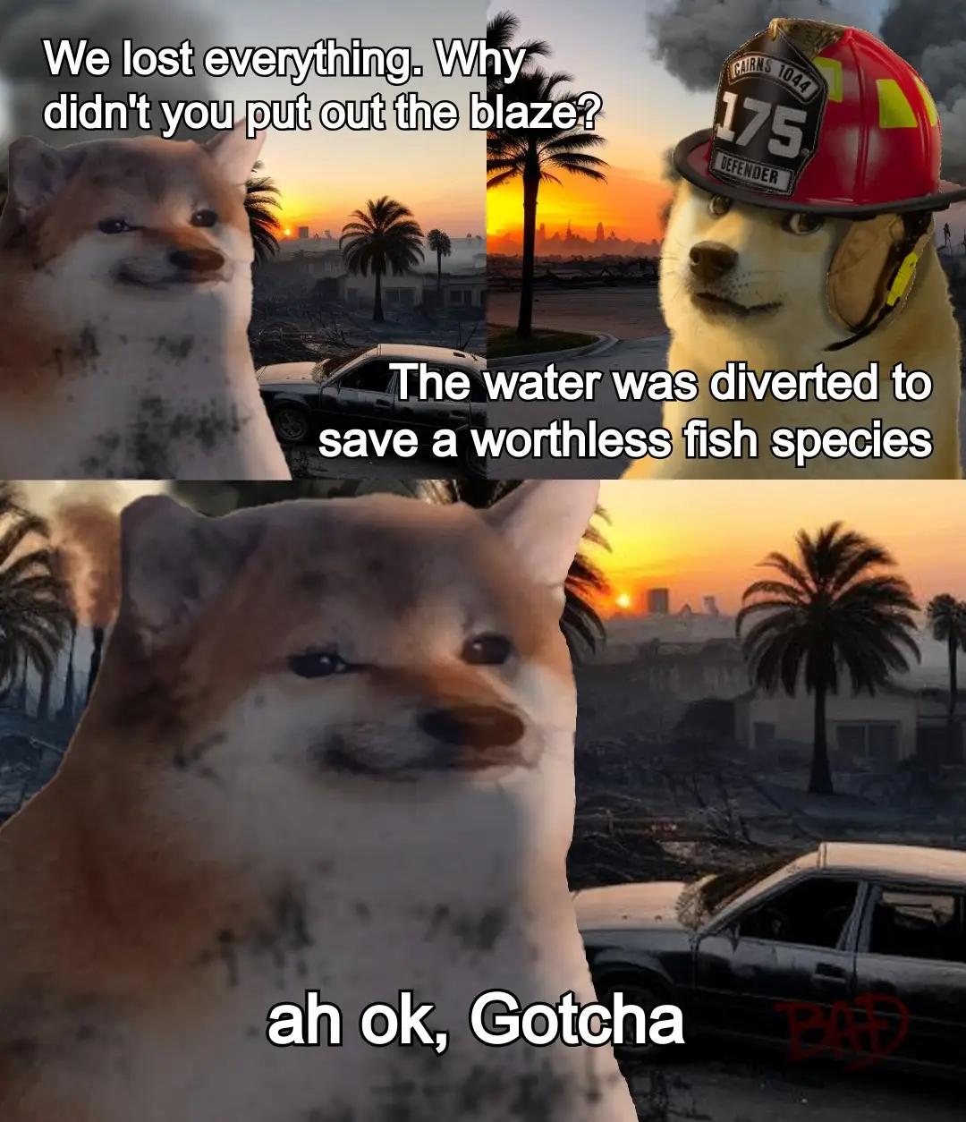 Blaze Memes Am I Weird? Funny Post Imgur