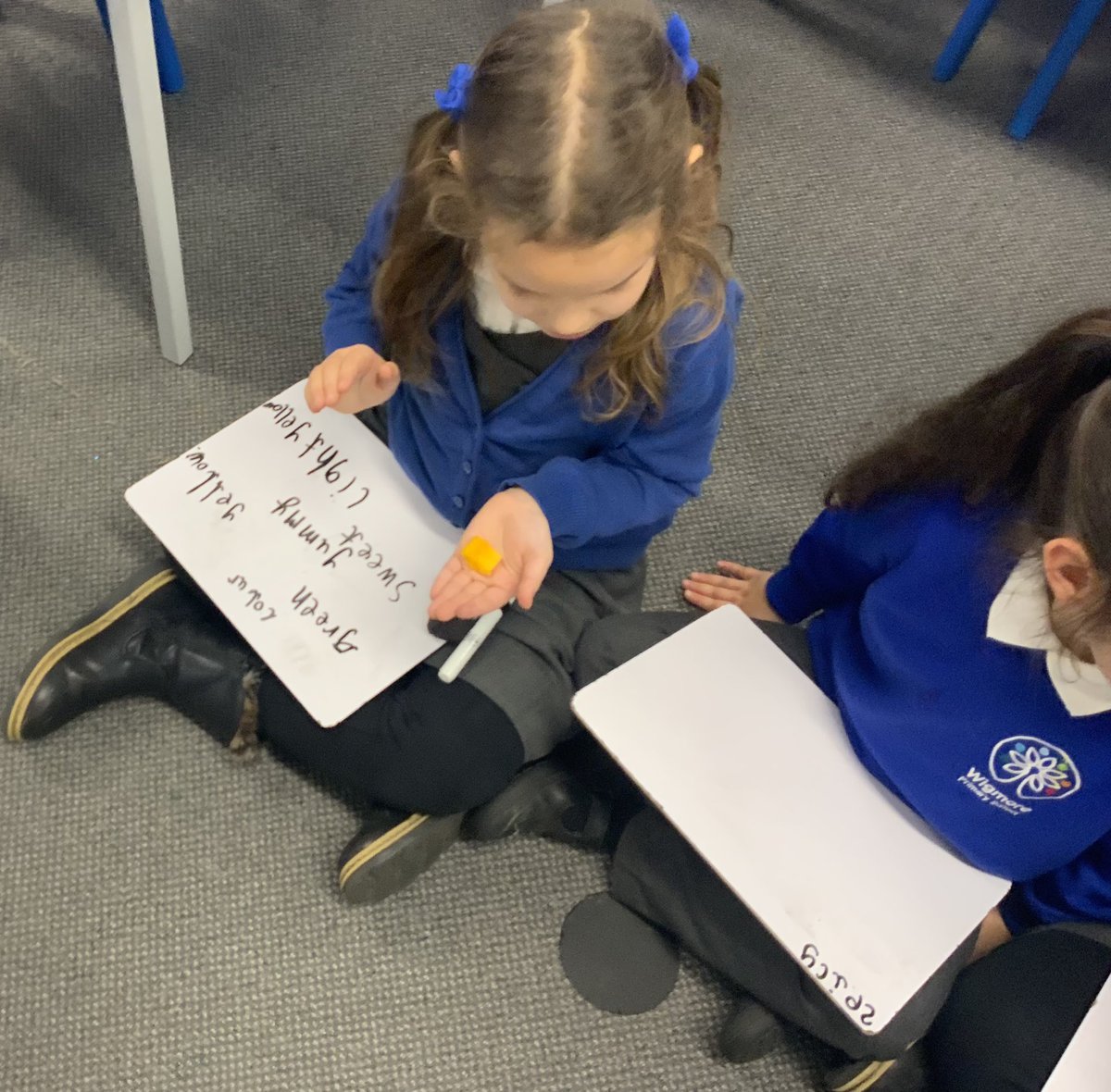 Wigmore Primary School | Nurturing Excellence