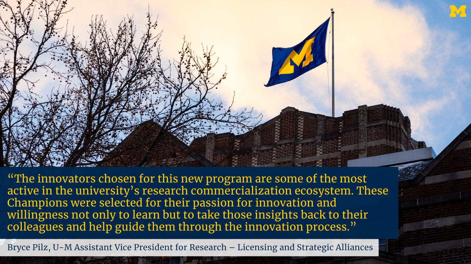 University Of Michigan Flag