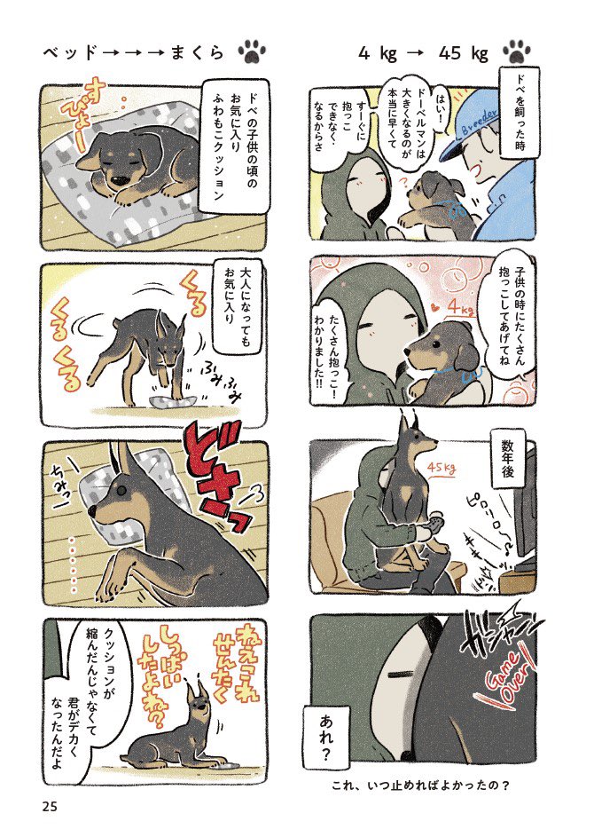 (試し読み