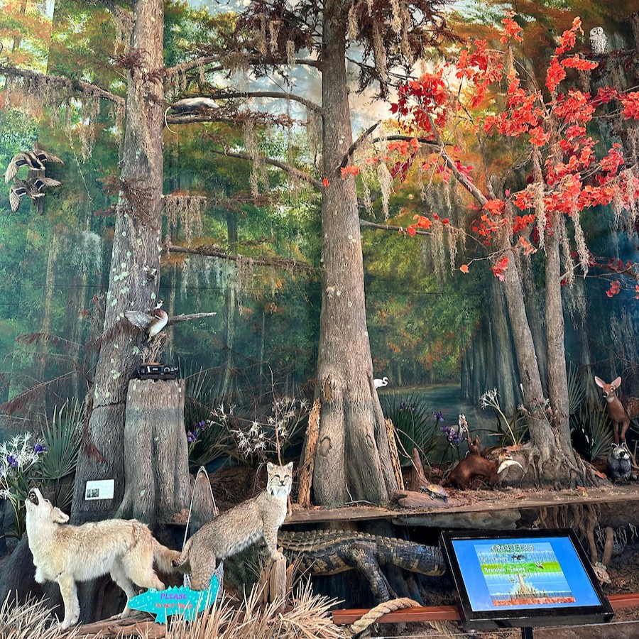 Audubon Louisiana Nature Center Audubon Community Nature Center