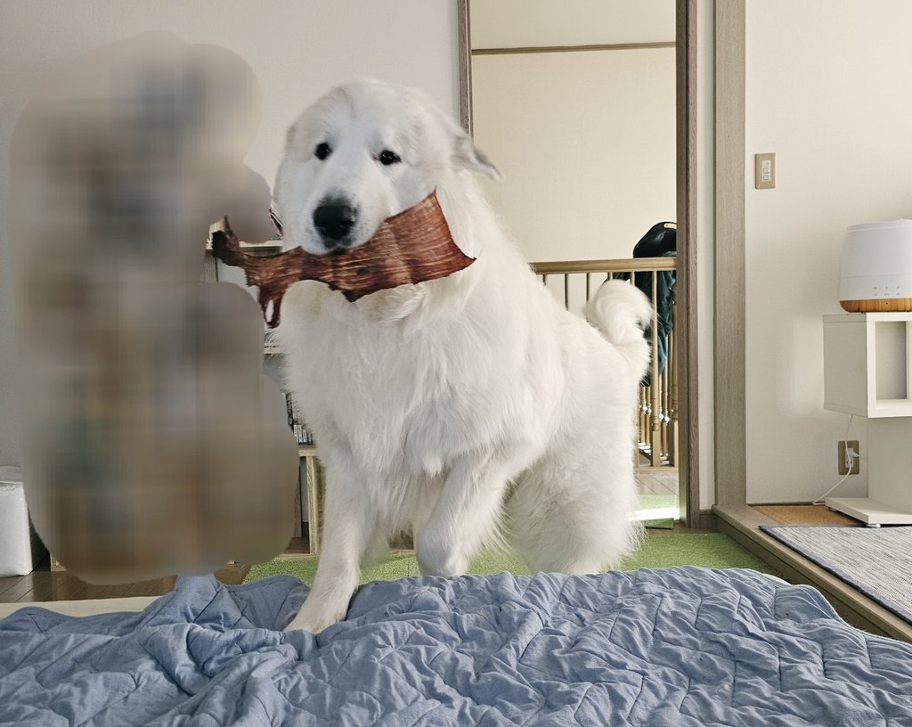 かよこ(@choco_holic) - Twilog (ツイログ)