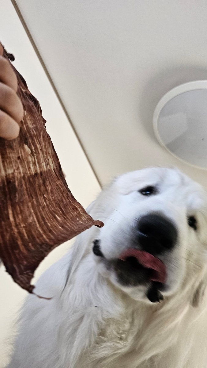 かよこ(@choco_holic) - Twilog (ツイログ)