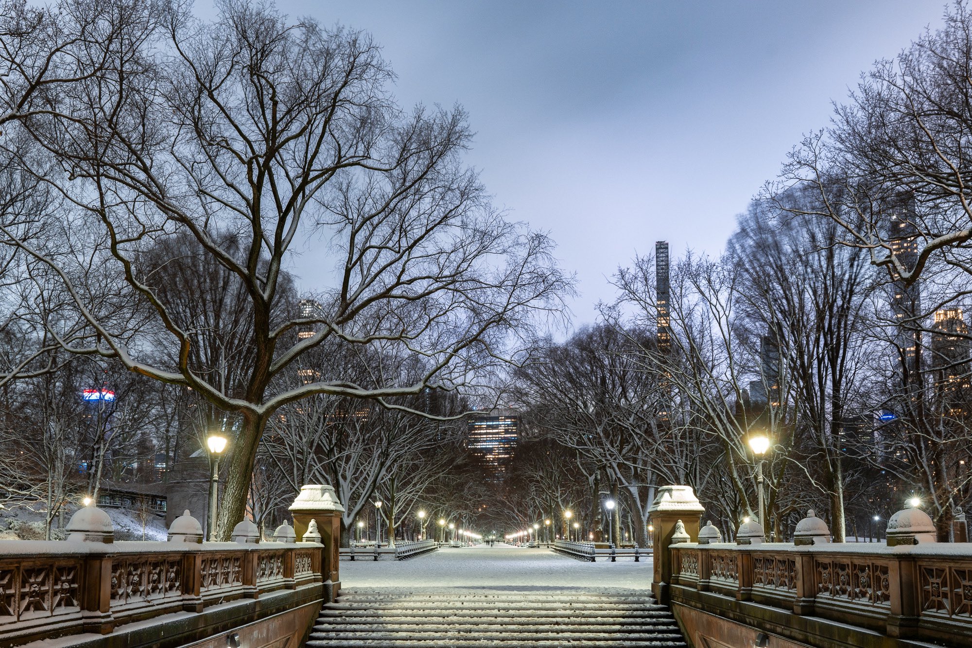 Central Park Winter Wallpaper
