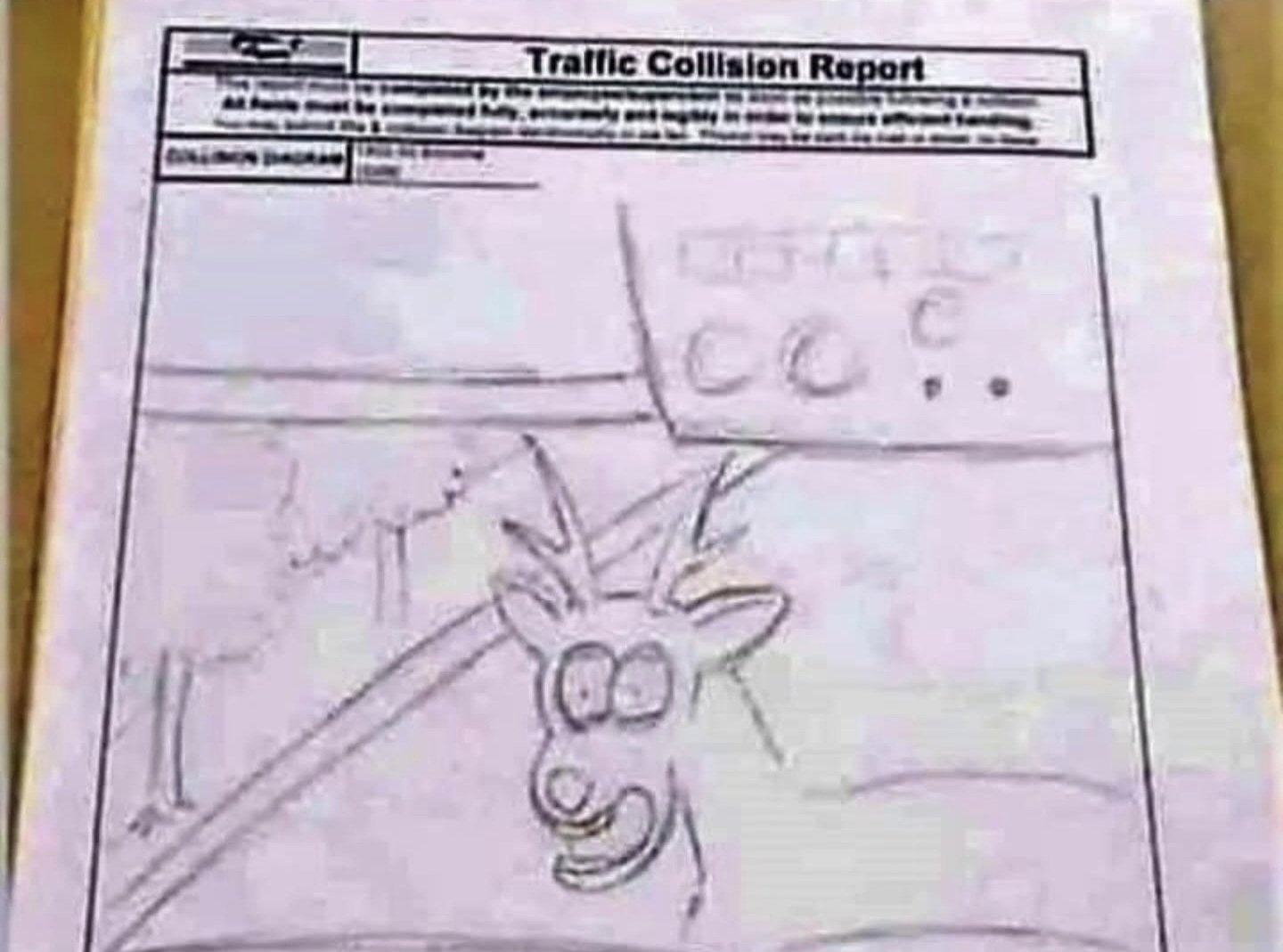 Car Accident Deer Insurance