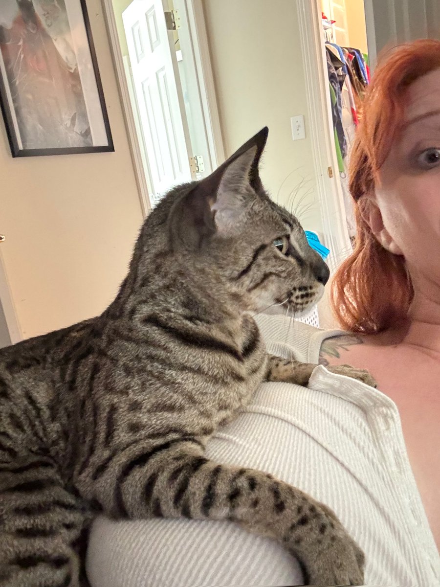 Valkyrie Brynn (@valkmommy_bryn) / Posts / X