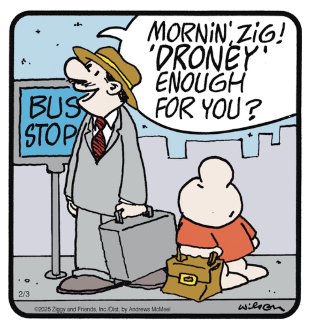 Ziggy Strips Ziggy Hot Off The Presses: A Cartoon Collection (Volume