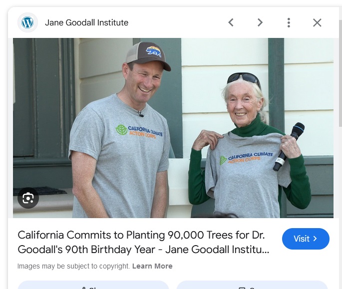 "In June 2021 Medline was acquired by a consortium of private equity ...