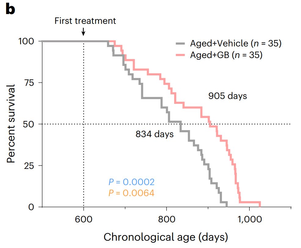 Samuel Hume's Threads – Thread Reader App