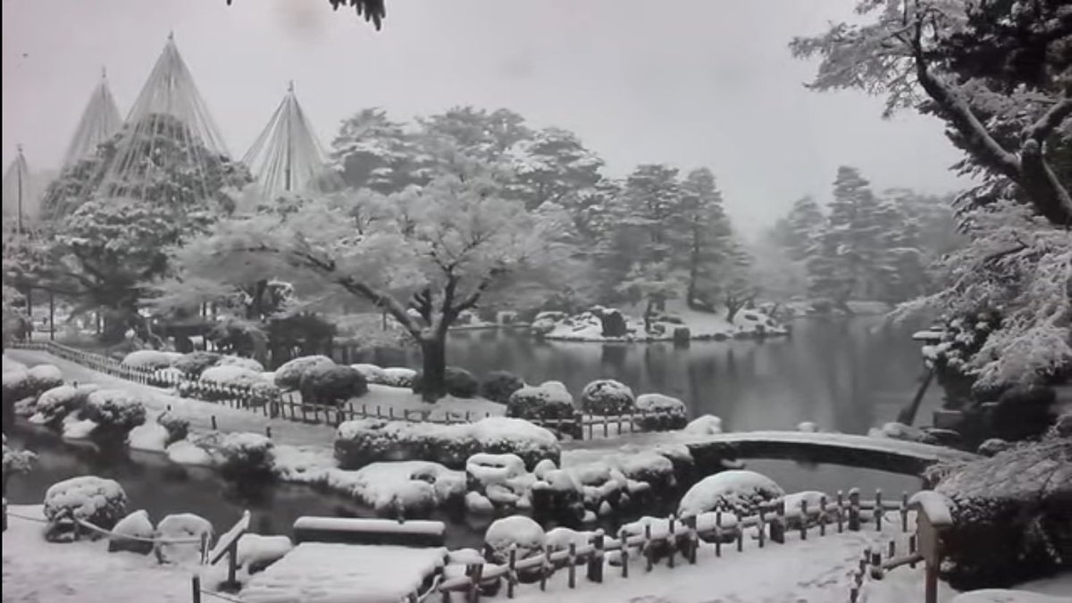 🎼 桃姫きゃる:||(@ppcal_calace) - Twilog (ツイログ)