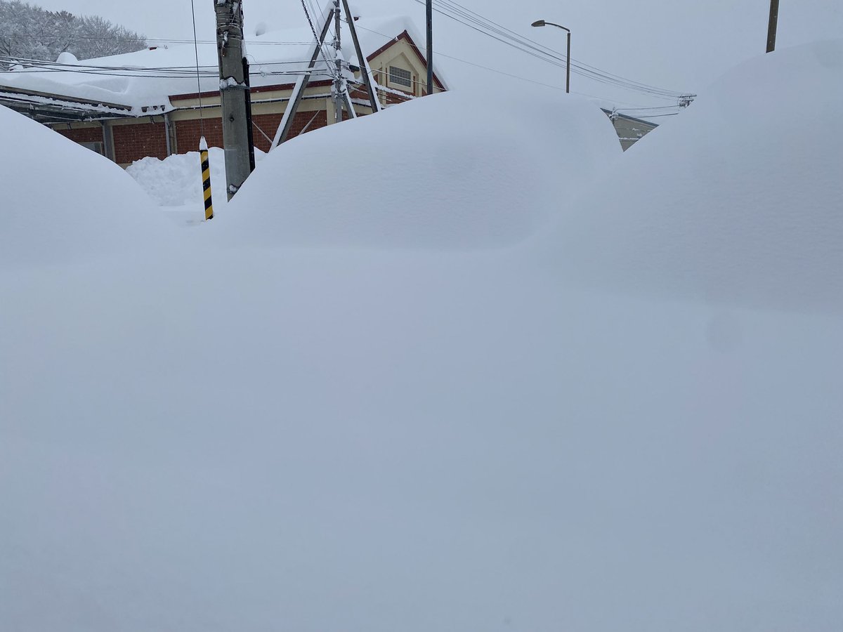 🎼 桃姫きゃる:||(@ppcal_calace) - Twilog (ツイログ)