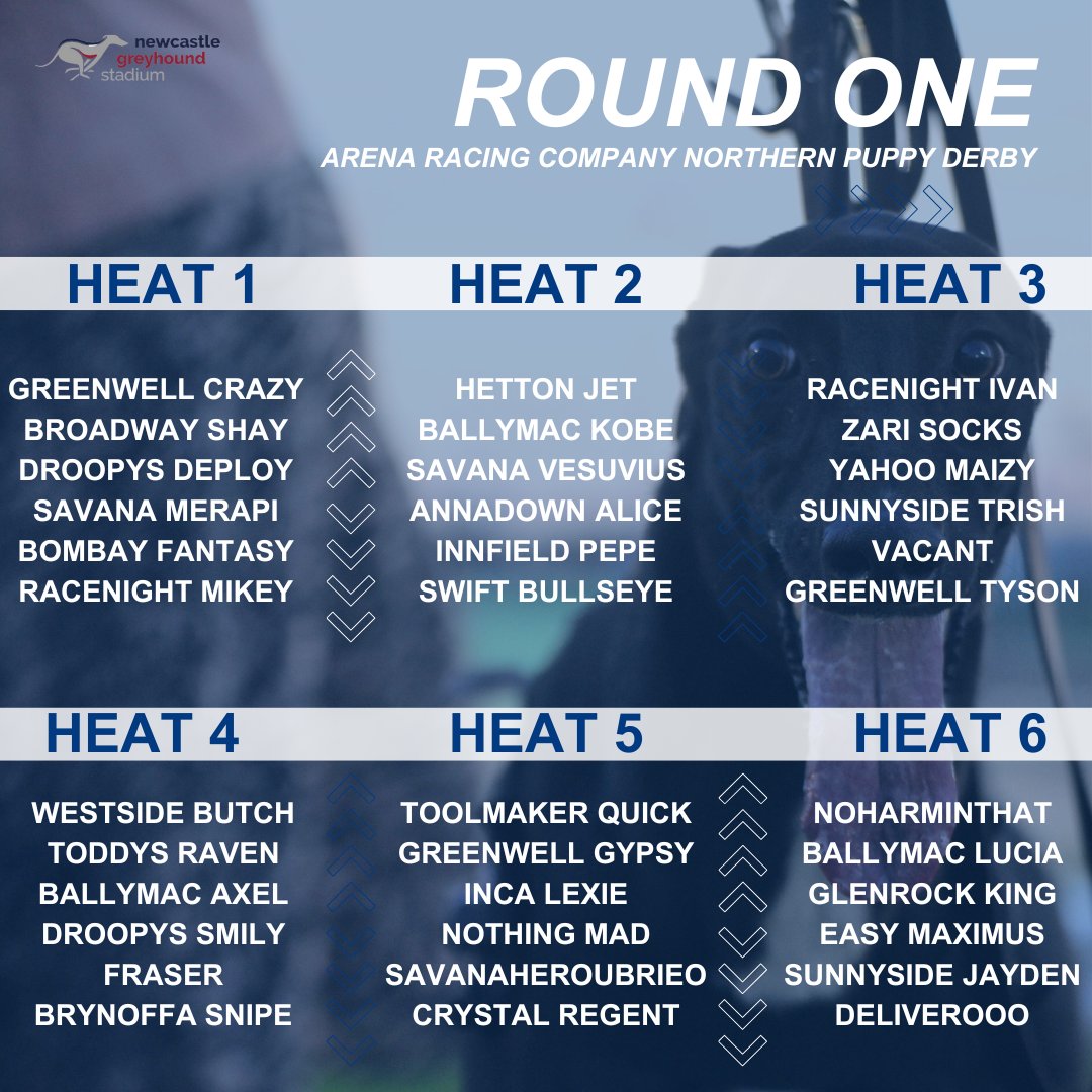 Arena Racing Company Logo Arena Racing Company ARO Racing