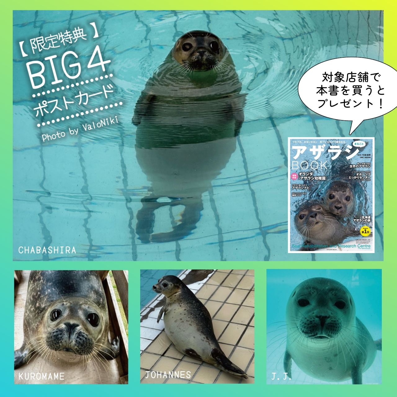 辰巳出版グループ公式(面白い、楽しい。を追求してSince1967 辰巳出版グループ公式(面白い、楽しい。を追求してSince1967