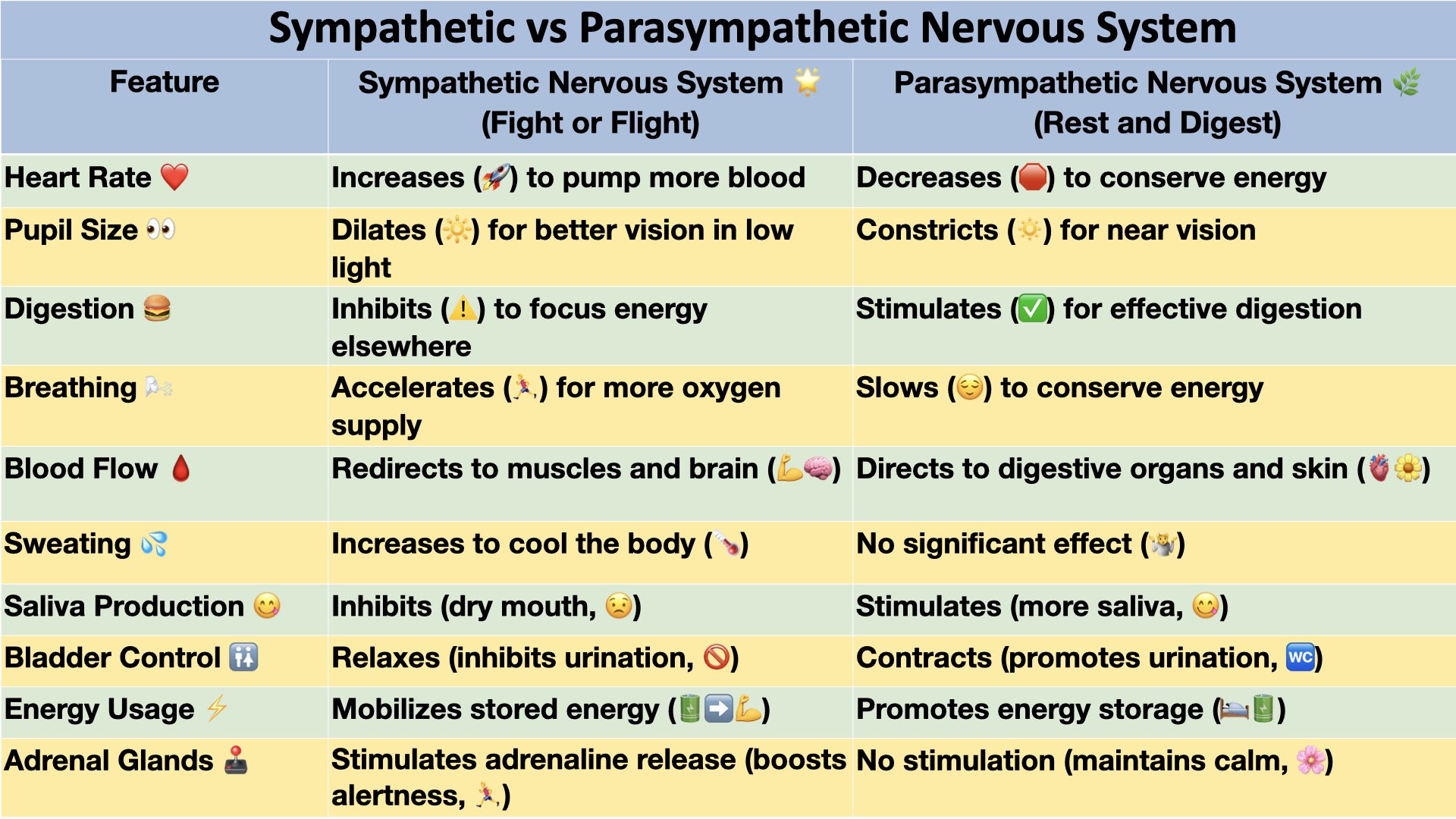 Parasympathetic And Sympathetic Nervous System Differences Sympathetic