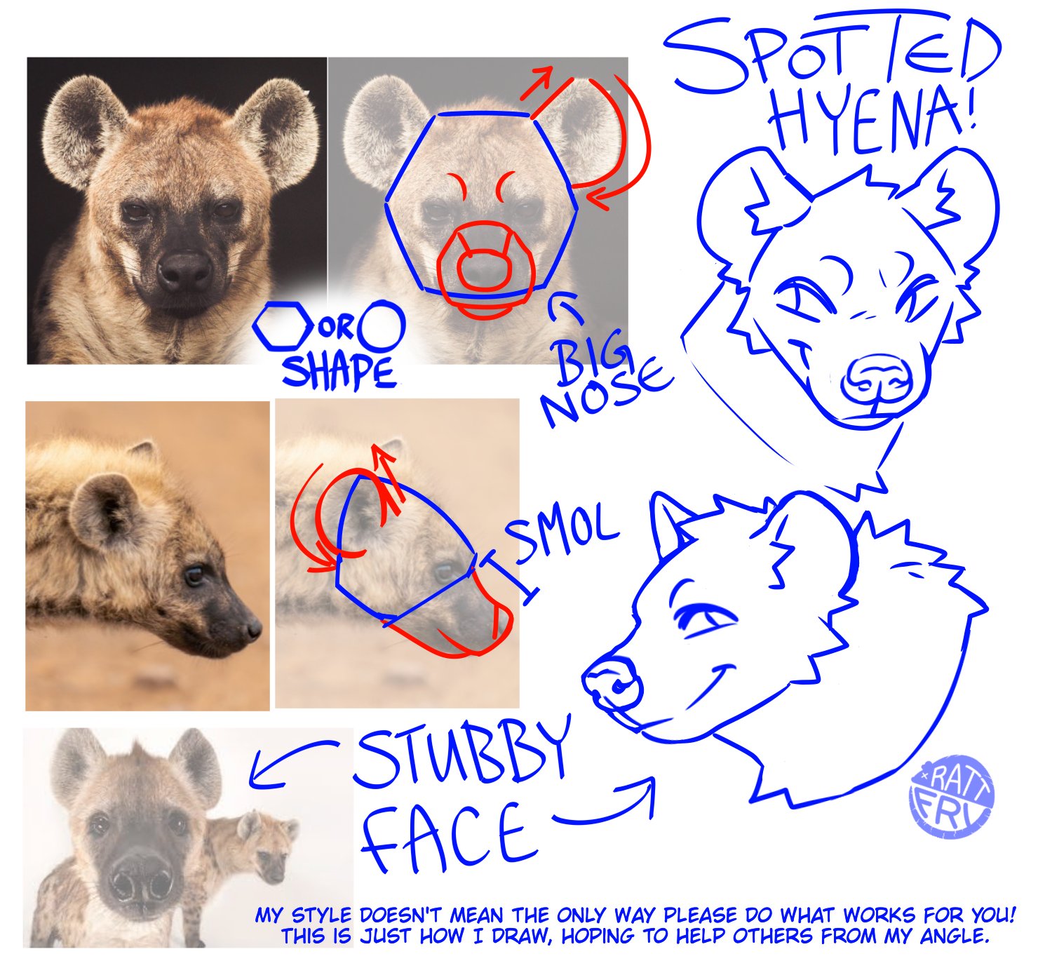 Spotted Hyena Drawing