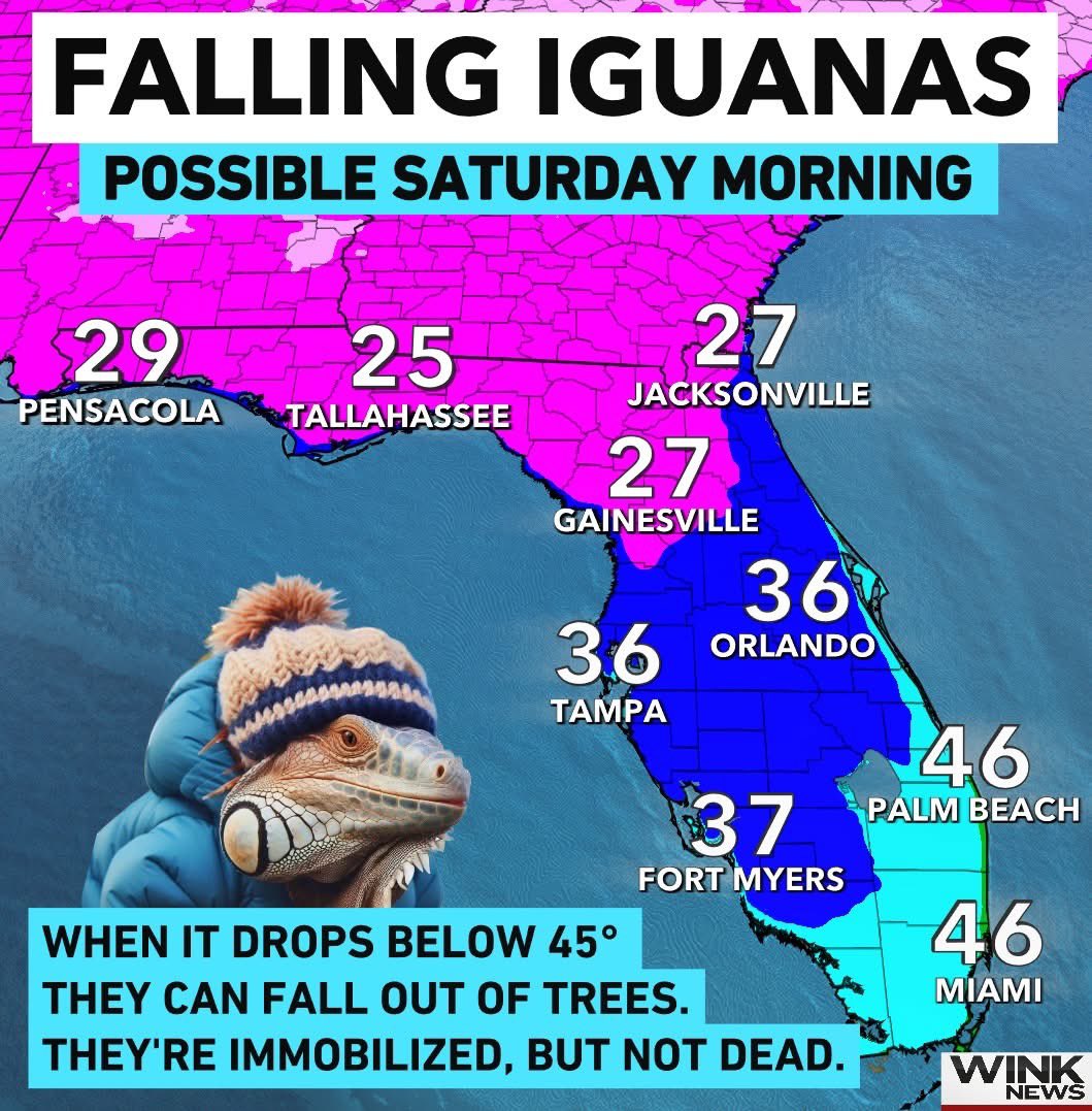 Florida Cold Front Memes Matt Devitt WINK Weather COLD AIR AHEAD IN