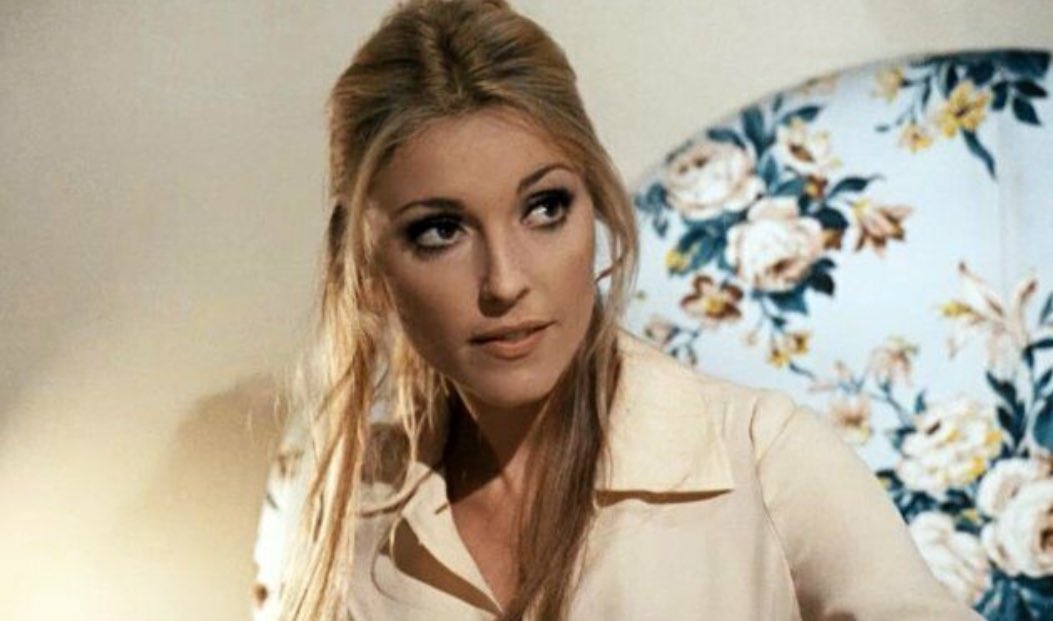 Amber Schmidt's Instagram, Twitter & Facebook on IDCrawl