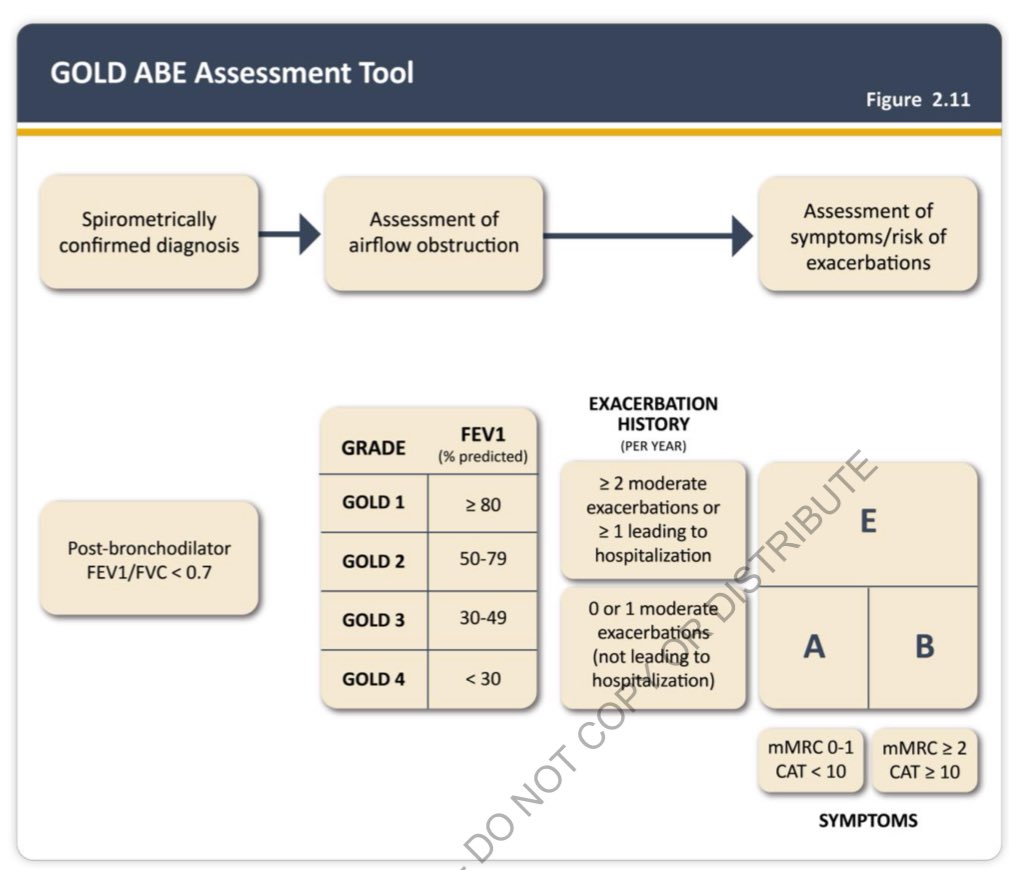 GOLD 2025 what’s new #GOLD-COPD @GOLD_COPD @accpchest # ...