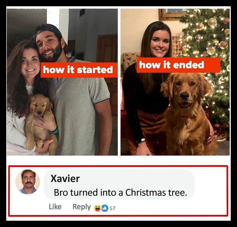 Thread By @TAdventurousoul - 10 Best Xavier Memes That will make You