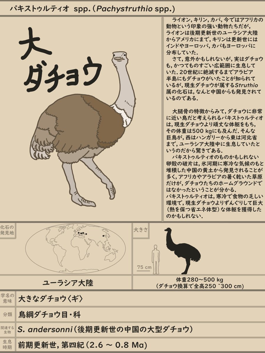 「今日は古代オリエントの服飾についてお勉強! ショールは四角か半円かそもそもないか,チュニック着るか布巻くだけか,服の縁」こがねの漫画