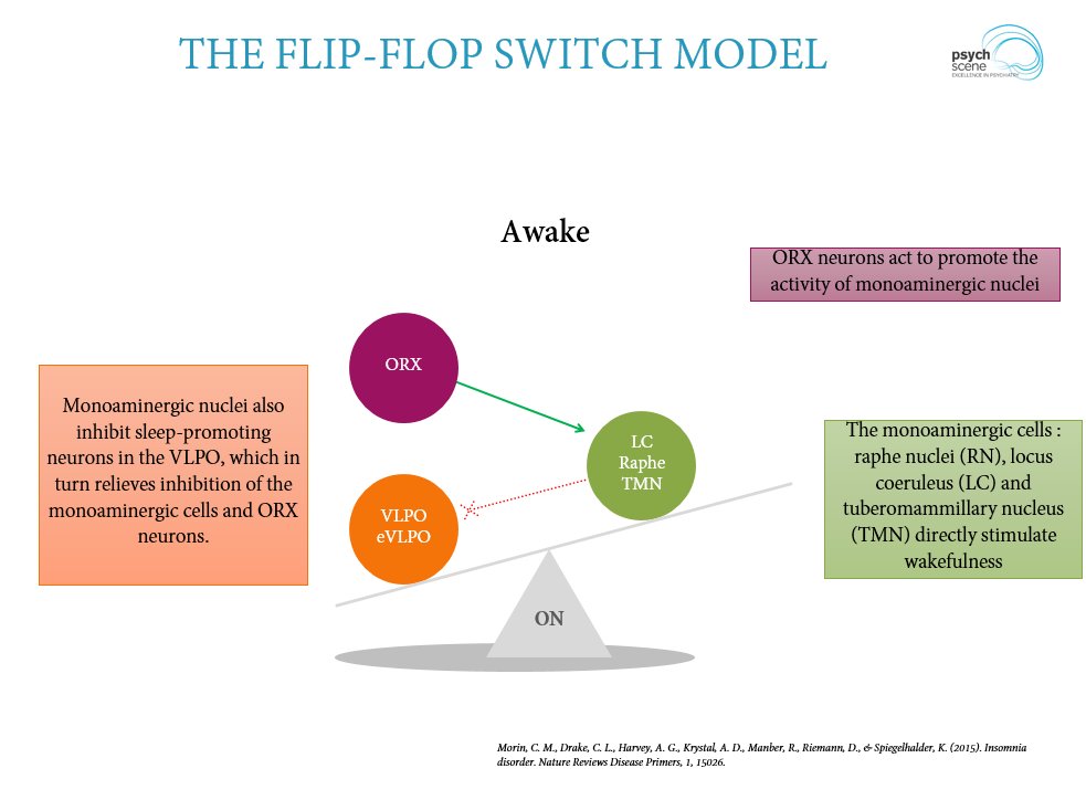 Poor sleep may double the risk of depression, impair toxin clearance ...