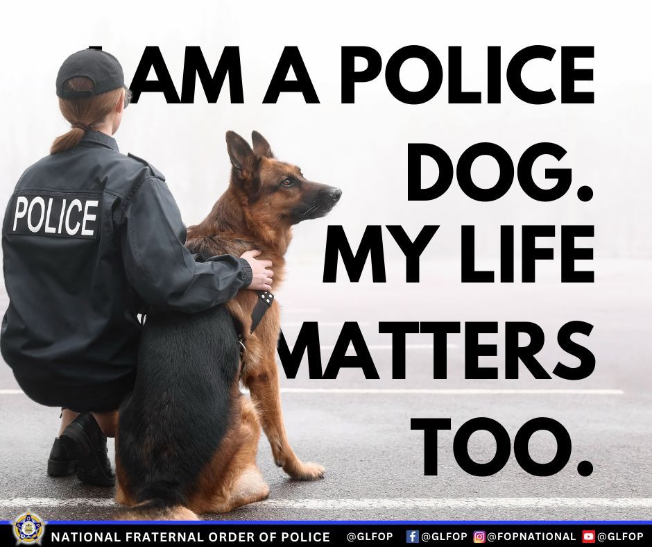 Police Hero Memes One Is A Coward, The Other A Hero Meme By