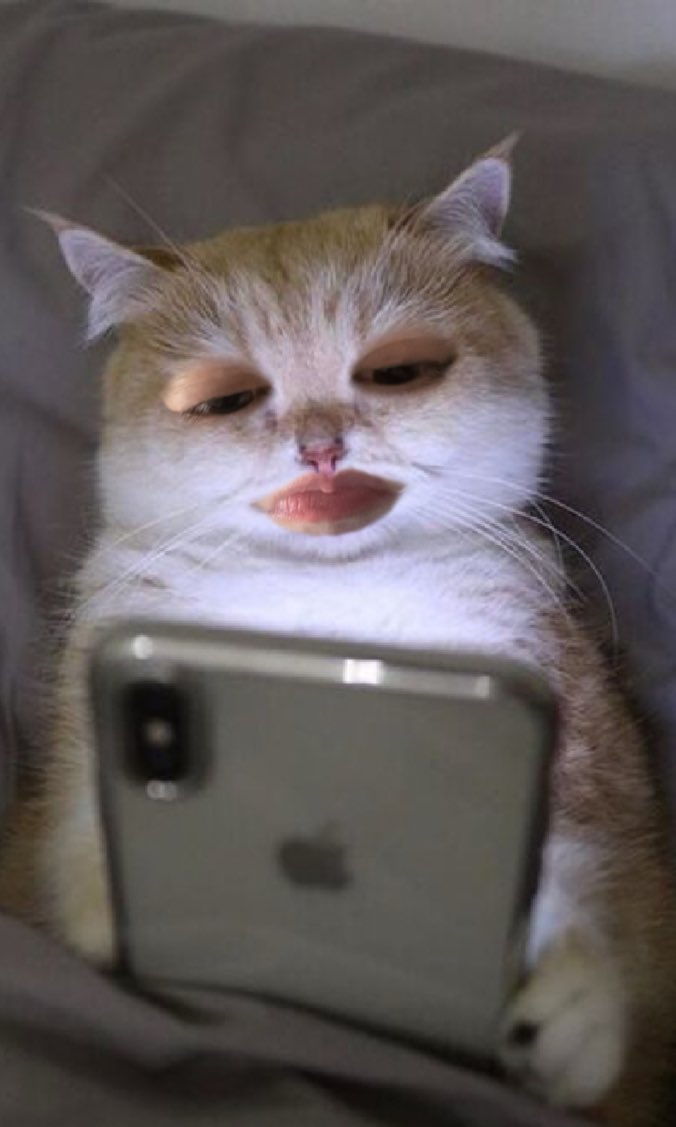 [BUDDY+Na.V+LUVU+WOORIN]只要你伸出雙手 Always be with you(48) | LIHKG 討論區