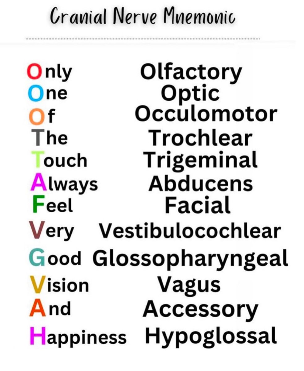 Cranial Nerves Mnemonic Cranial Nerves – ONESTOPNURSING