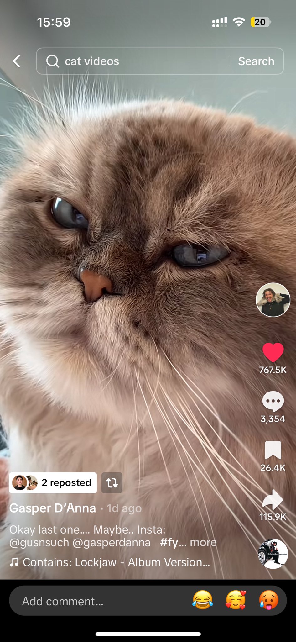 Gus Cat WHRB :: Harvard Radio News Feature: A Conversation With The